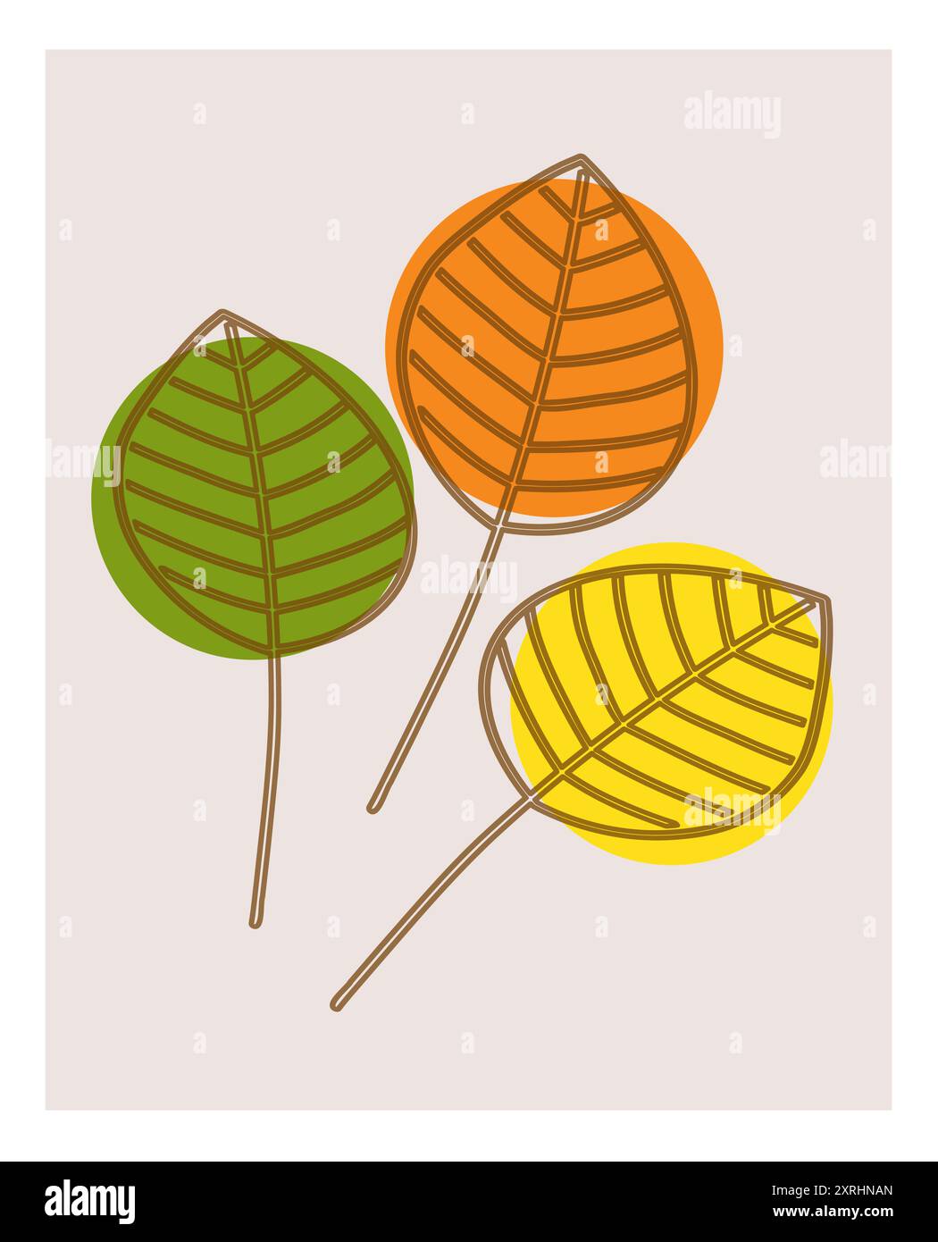 Showcasing veins Cut Out Stock Images & Pictures - Alamy