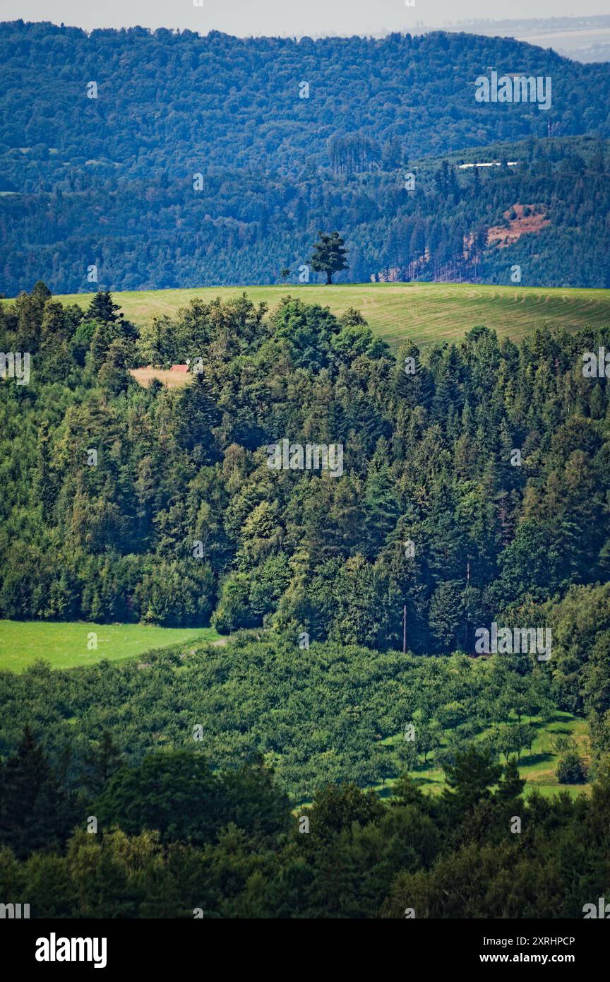 Czech republic countryside landscape. Meadows, fields, woods and lonely ...