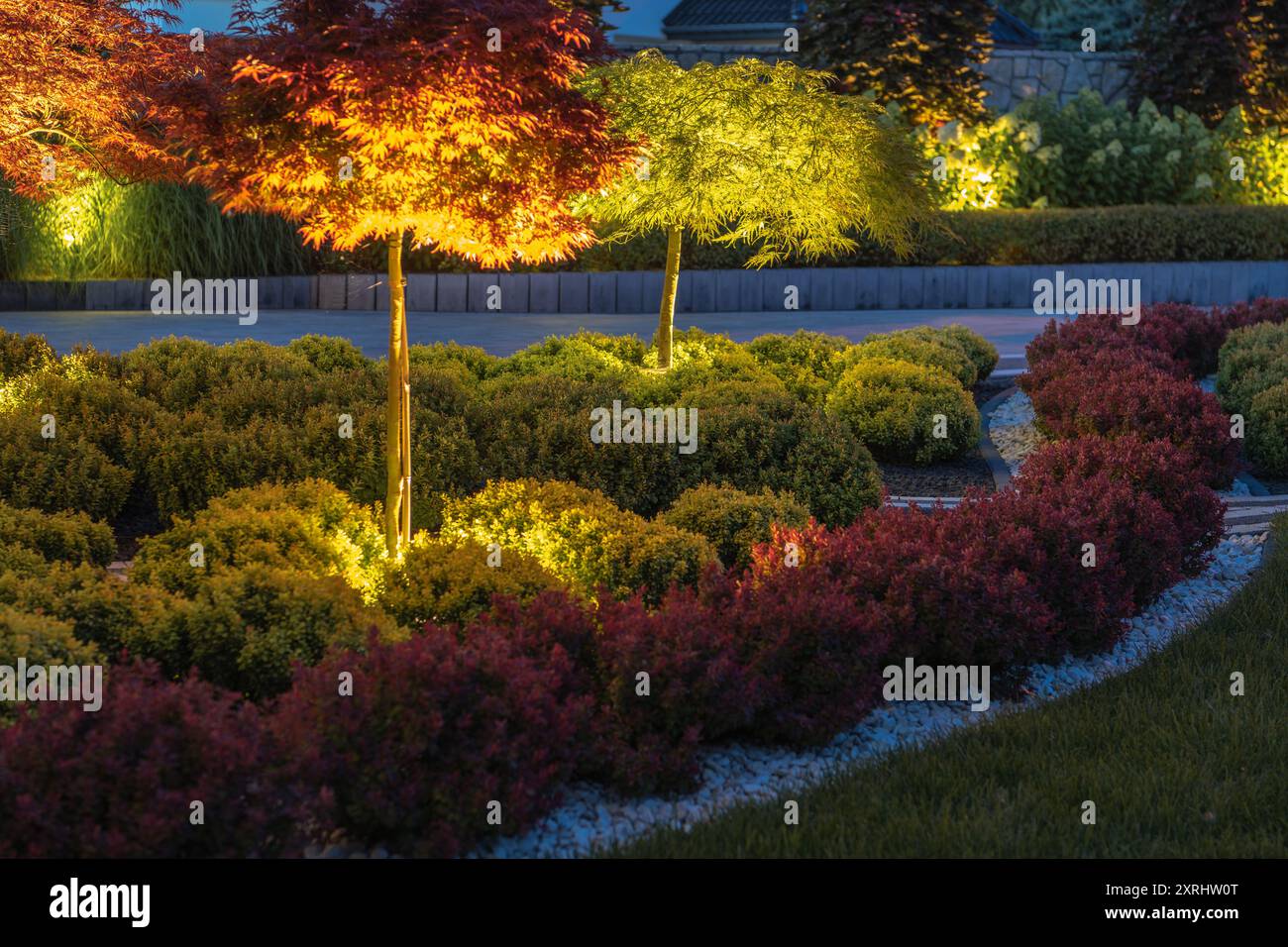 Colorful trees and lush shrubs are beautifully lit at night, showcasing ...