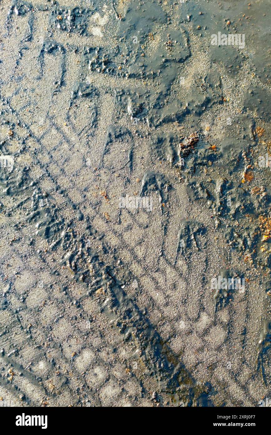 Tire tracks left in wet mud showcase patterns of off-road vehicles in a ...
