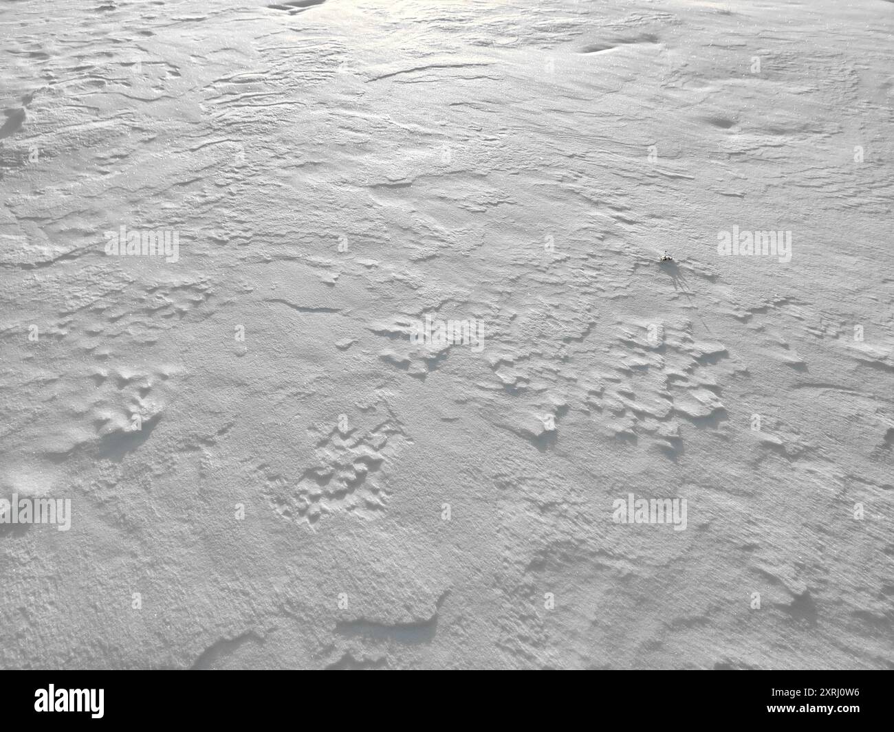Freshly fallen snow creates hi-res stock photography and images - Alamy