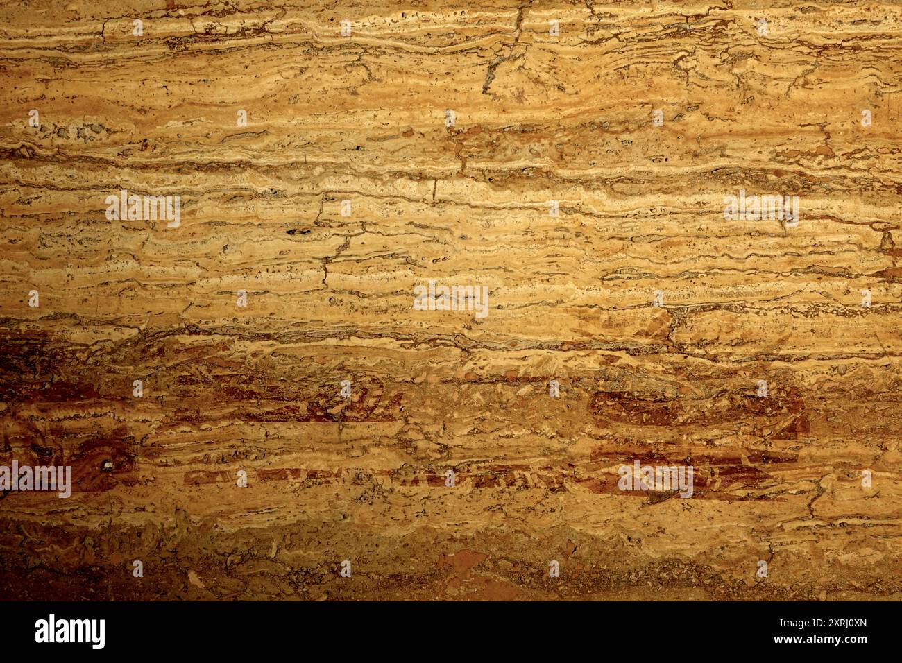 Detailed wooden board texture showcases rich fiber patterns in earthy ...