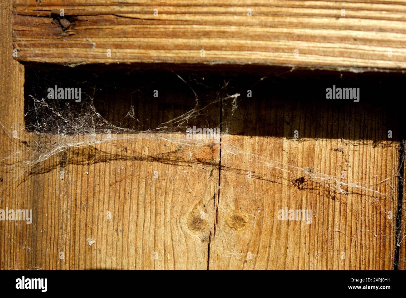 Detailed view of a wooden board showing fiber structure and intricate ...