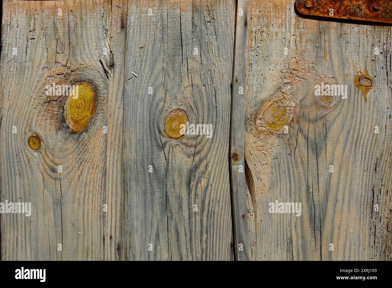 Wooden board surface highlights natural texture and fiber patterns ...