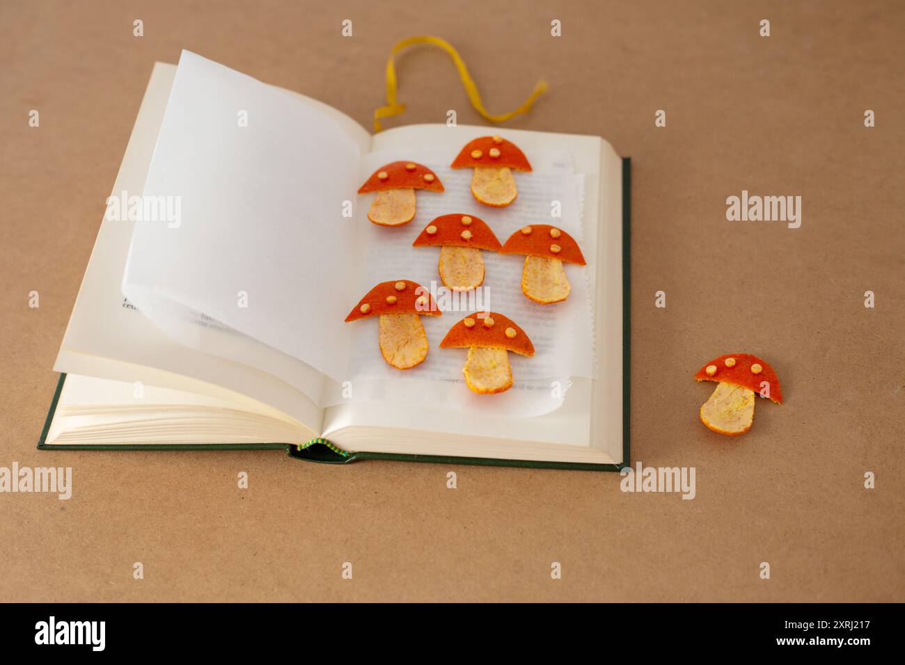 an open book, pieces tangerine peels in form of mushroom, craft and ...