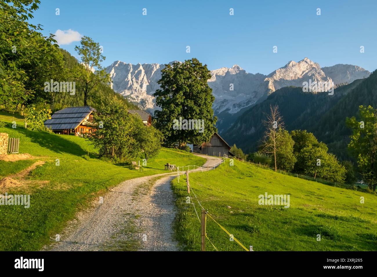 Summer Alpine landscape of the Ravenska Kocna Valley in Zgornje ...
