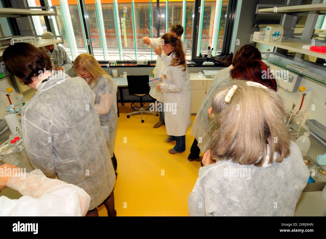 working in a chemical laboratory, research and science working in a ...