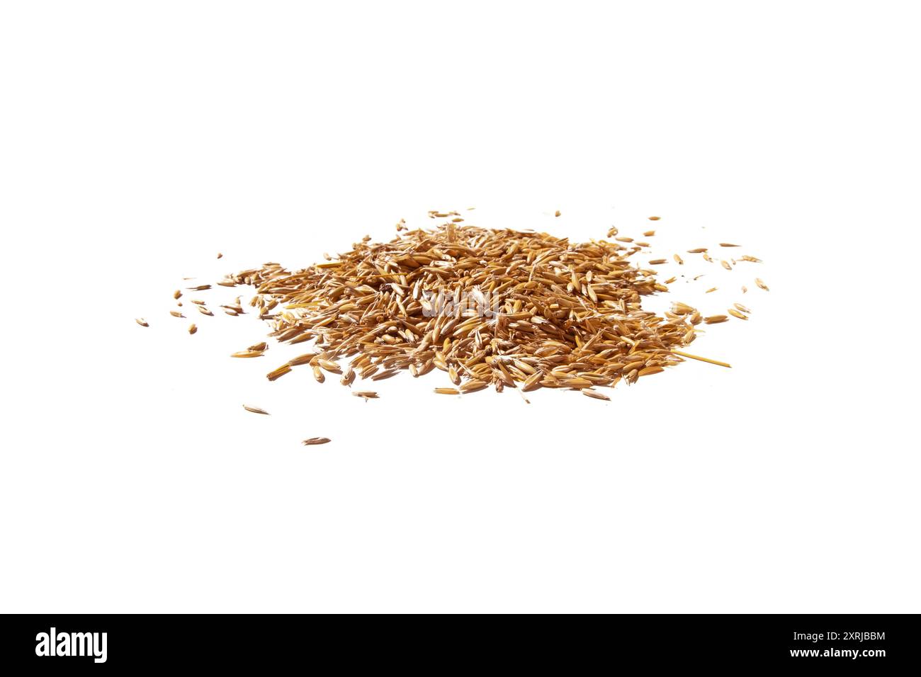 Wheat on field countryside Cut Out Stock Images & Pictures - Alamy