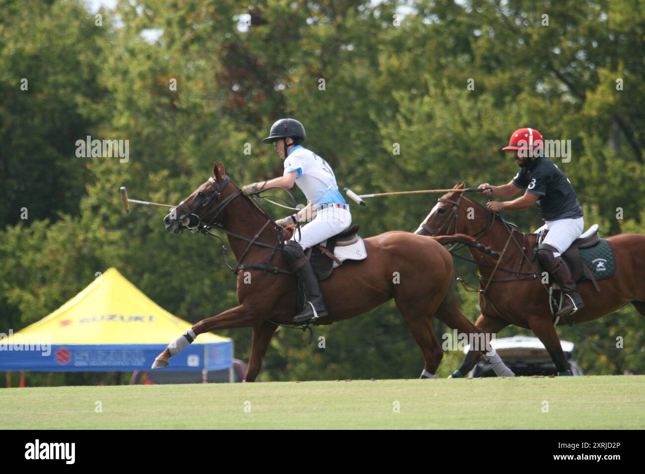 Glennon gallop charity polo hi-res stock photography and images - Alamy