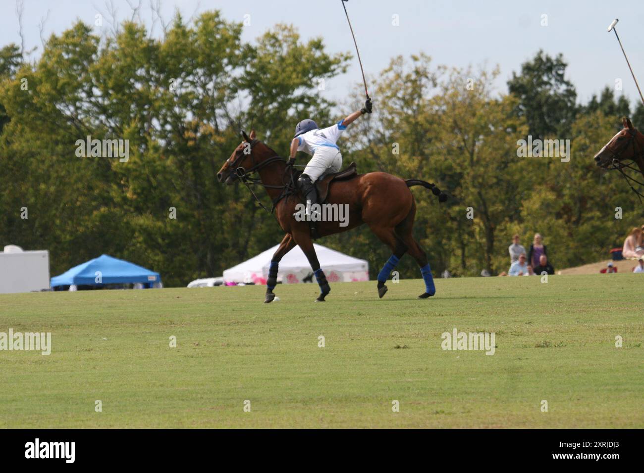 The Glennon Gallop charity Polo Match for Danis Pediatric Center is an ...