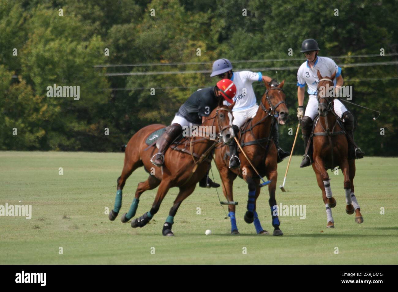 The Glennon Gallop charity Polo Match for Danis Pediatric Center is an ...