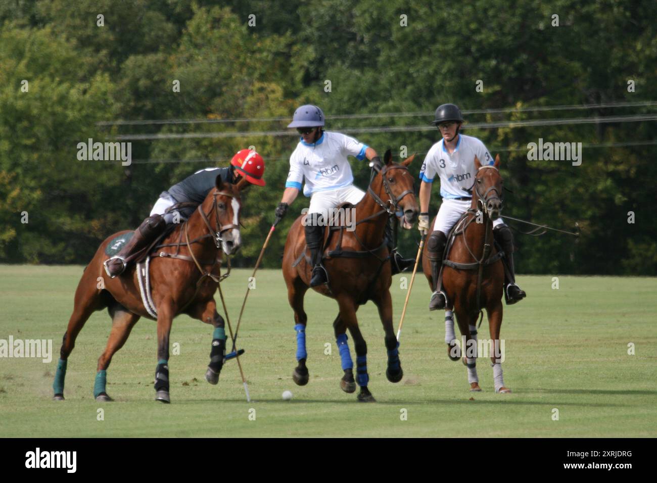The Glennon Gallop charity Polo Match for Danis Pediatric Center is an ...
