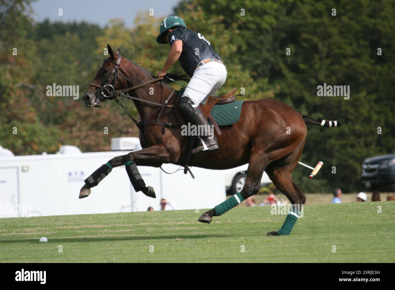 The Glennon Gallop charity Polo Match for Danis Pediatric Center is an ...