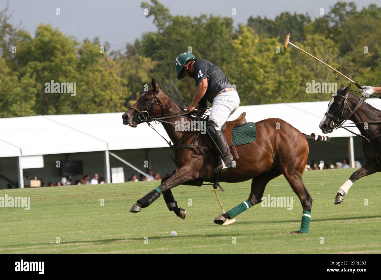 The Glennon Gallop charity Polo Match for Danis Pediatric Center is an ...