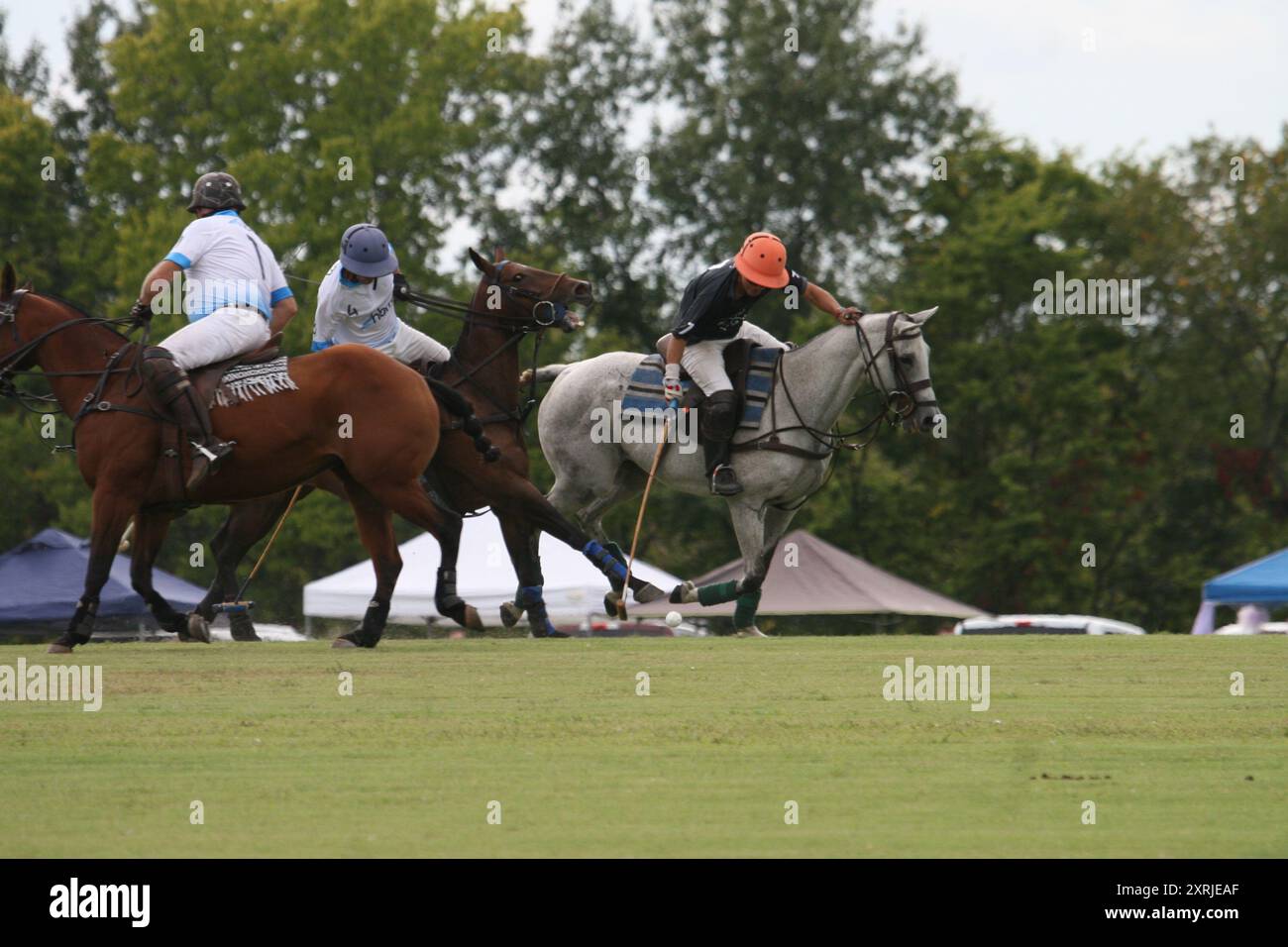 The Glennon Gallop charity Polo Match for Danis Pediatric Center is an ...