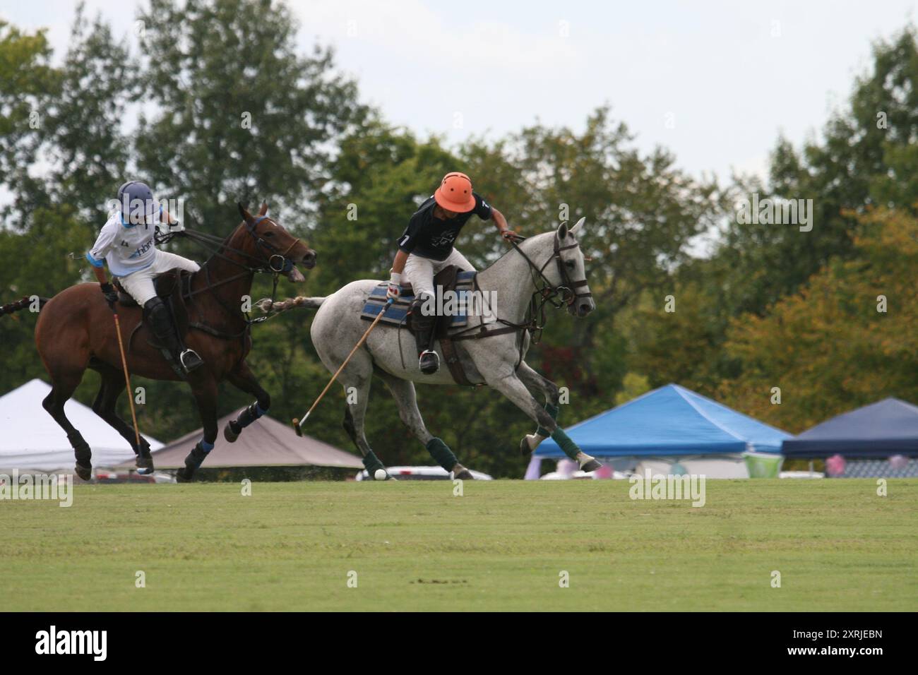 The Glennon Gallop charity Polo Match for Danis Pediatric Center is an ...