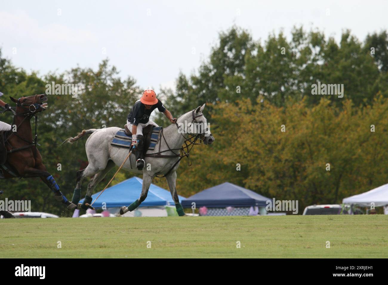 The Glennon Gallop charity Polo Match for Danis Pediatric Center is an ...