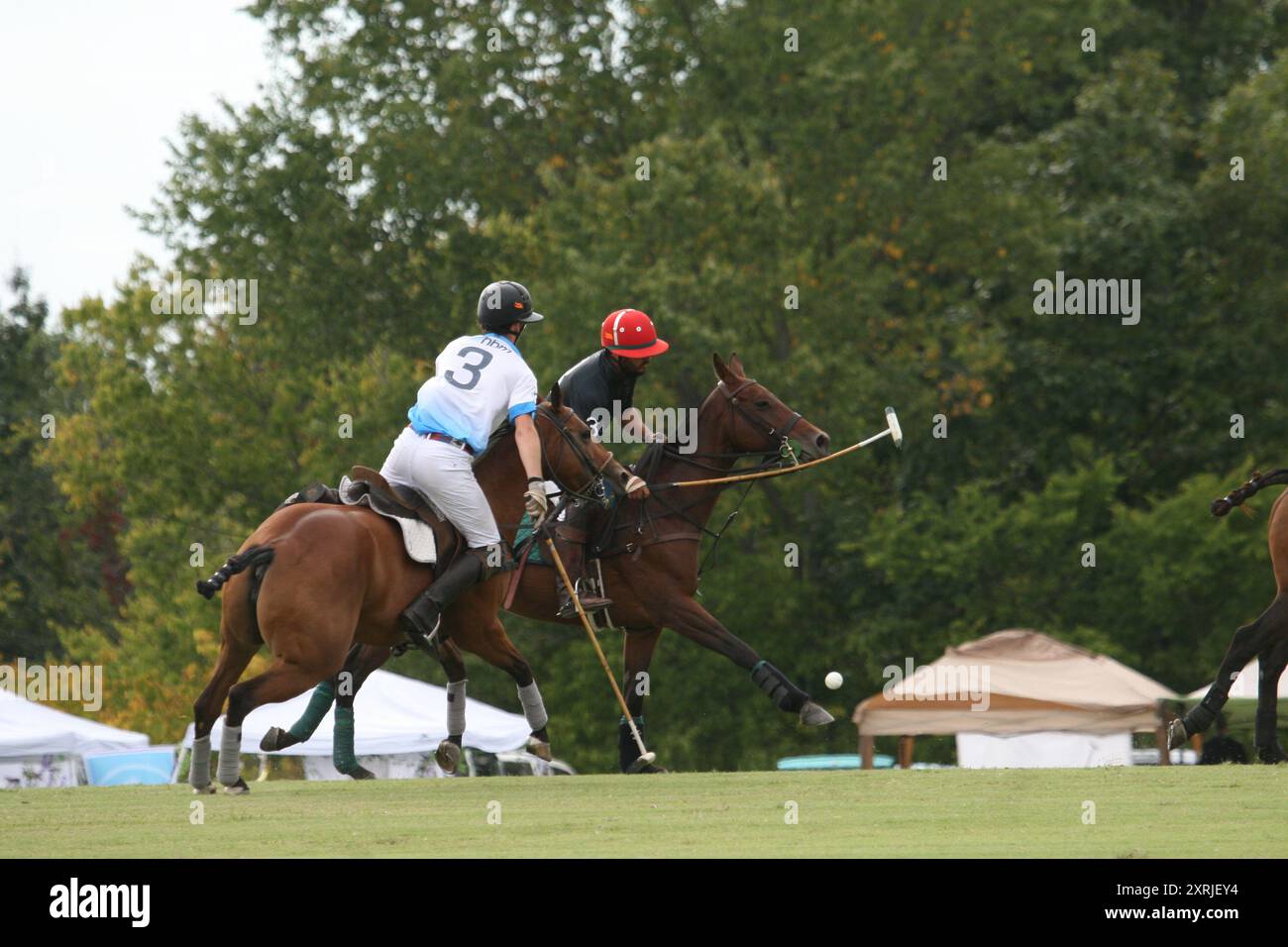 The Glennon Gallop charity Polo Match for Danis Pediatric Center is an ...