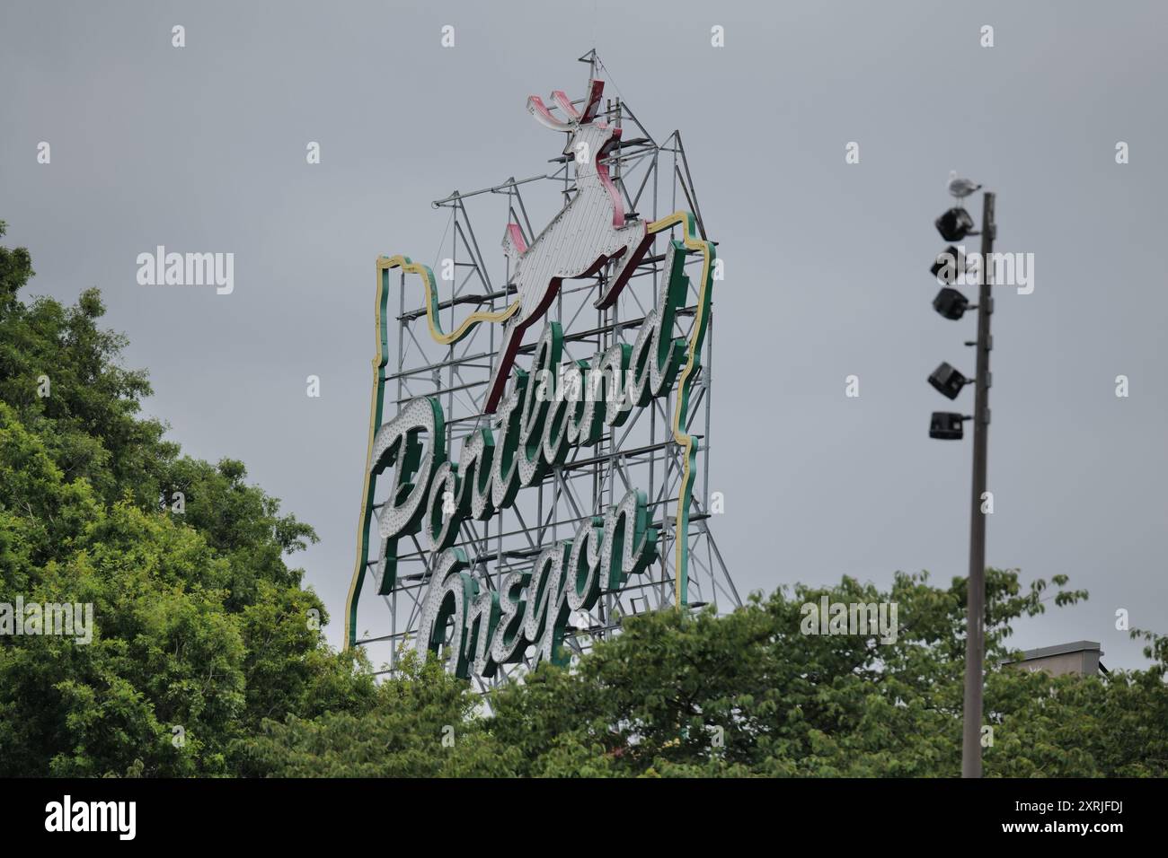 The iconic Old Town Portland Oregon neon sign Stock Photo - Alamy