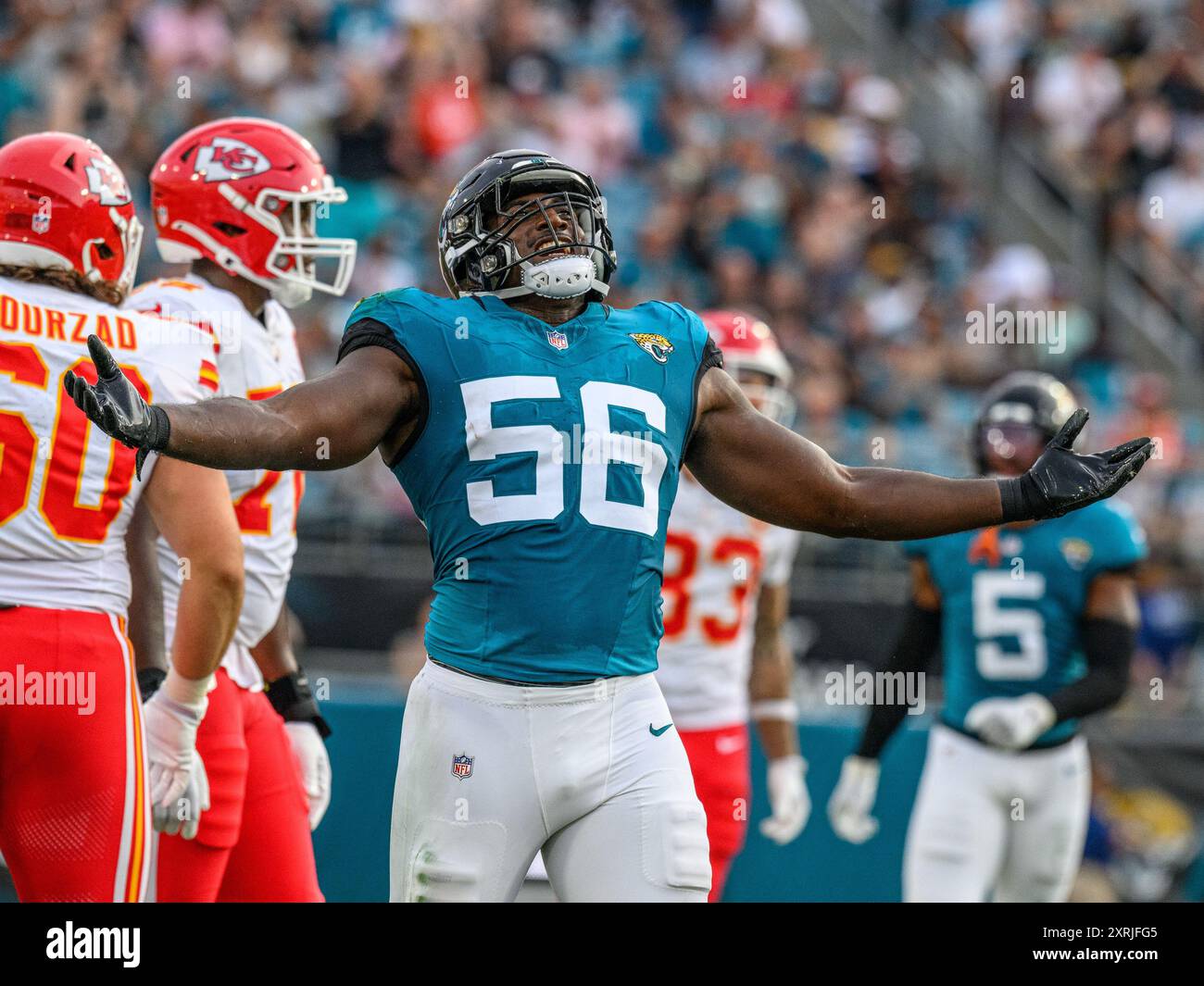 2024 0455 jpg hi-res stock photography and images - Alamy