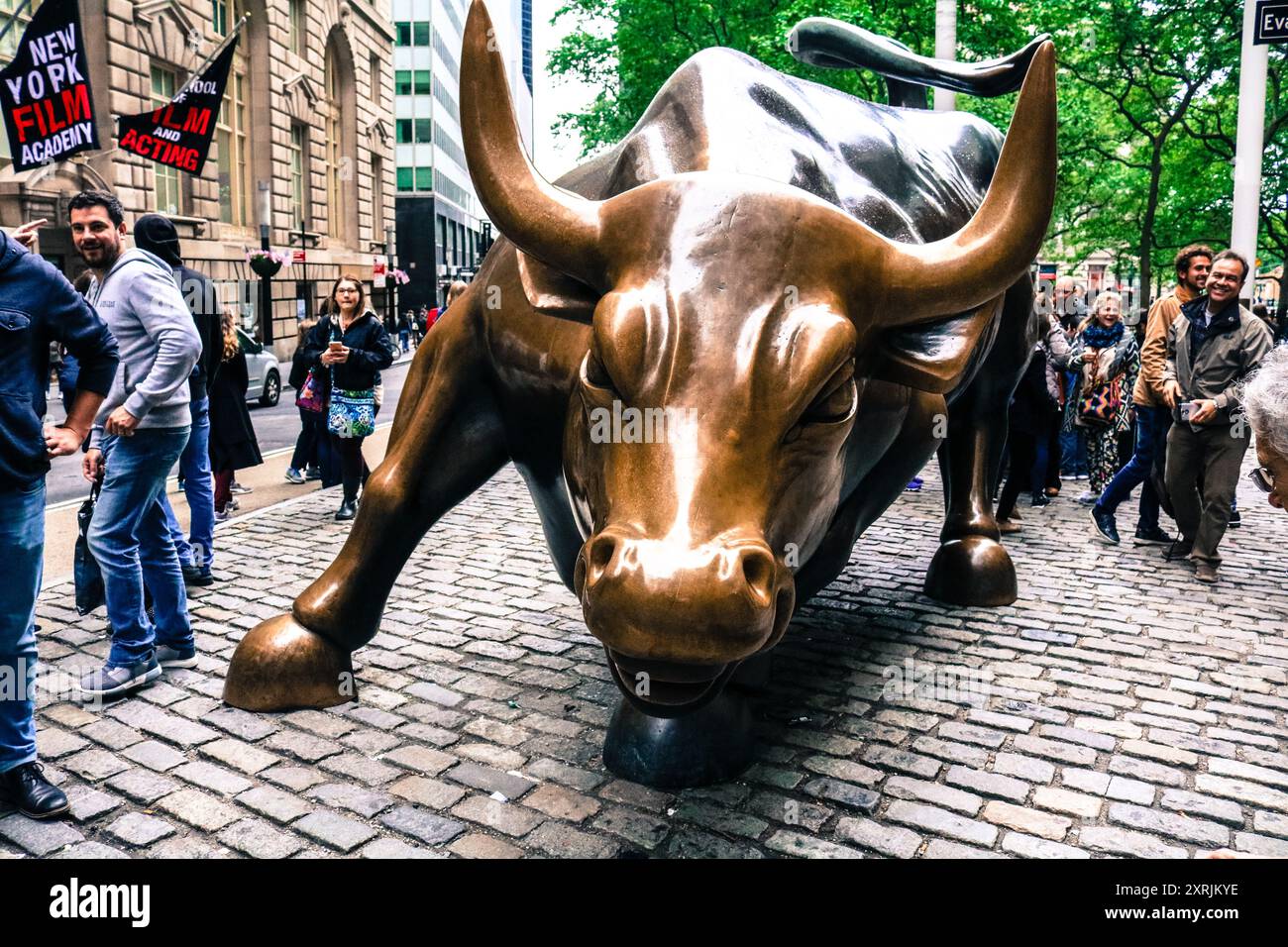 Charging Bull, New York City Stock Photo - Alamy