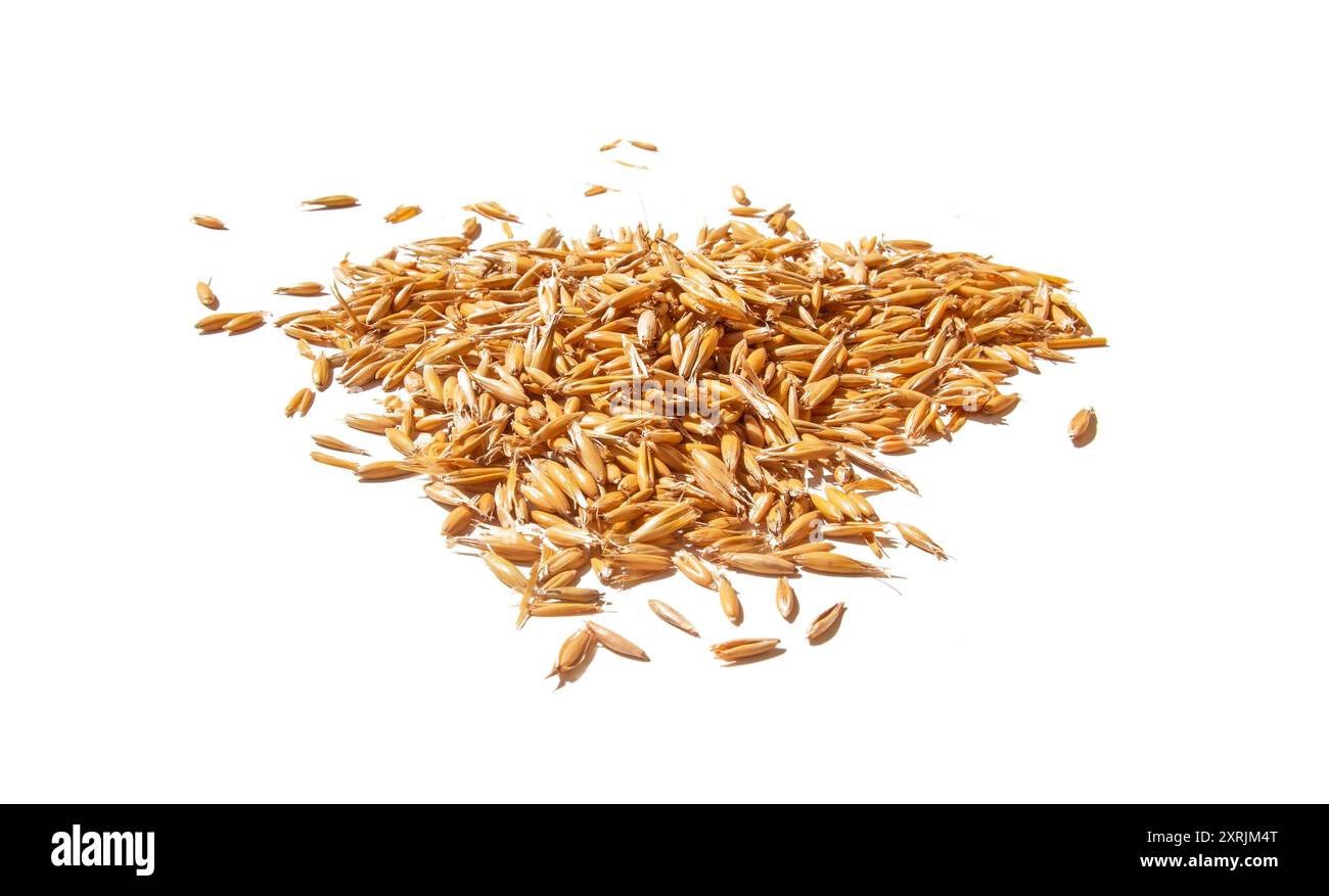 Scattered sun Cut Out Stock Images & Pictures - Alamy