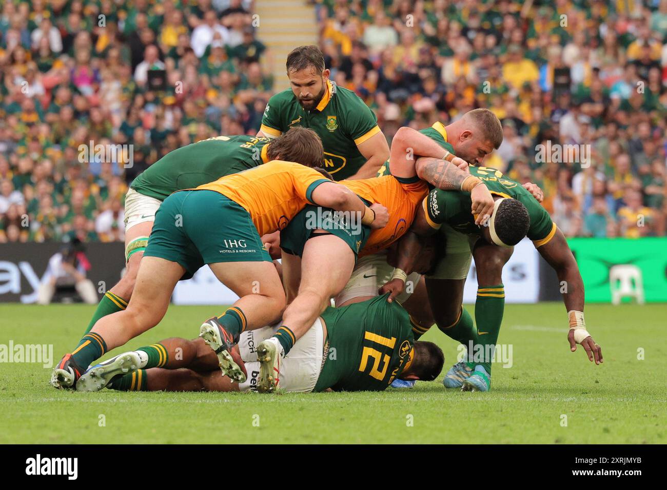 Rassie erasmus siya kolisi rugby hi-res stock photography and images ...