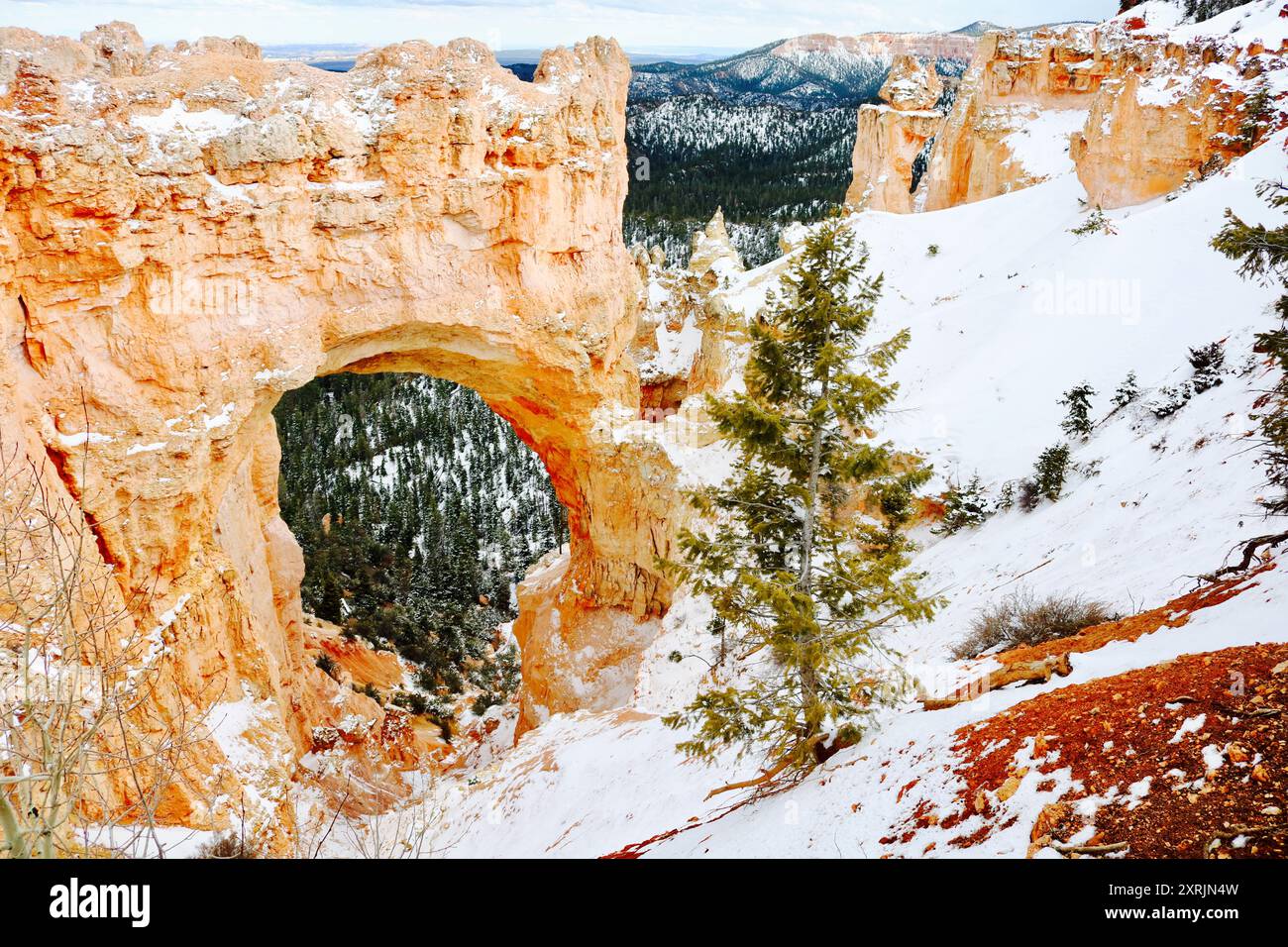 Natural Bridge, Bryce Canyon National Park Stock Photo - Alamy