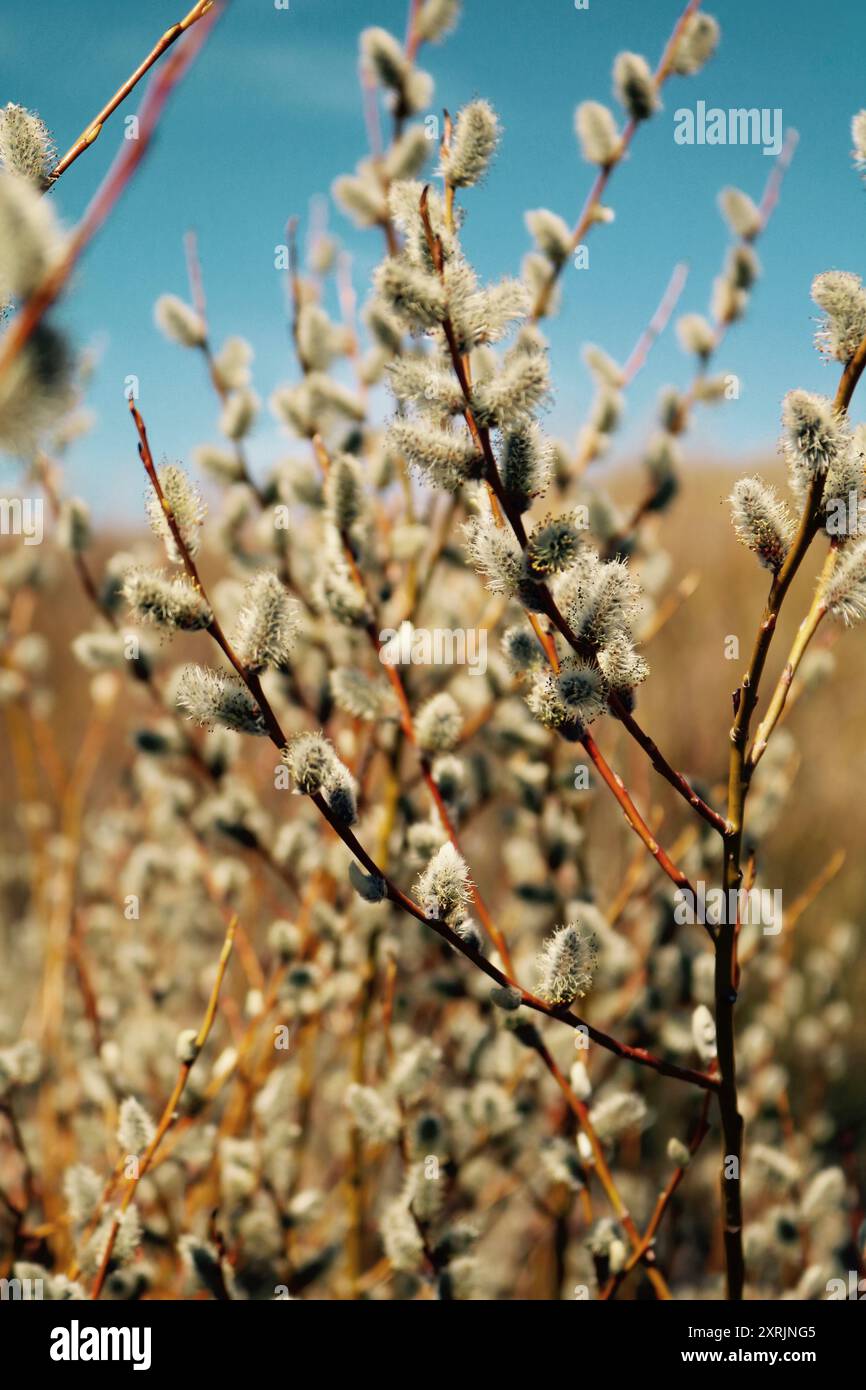Field in Utah Stock Photo - Alamy