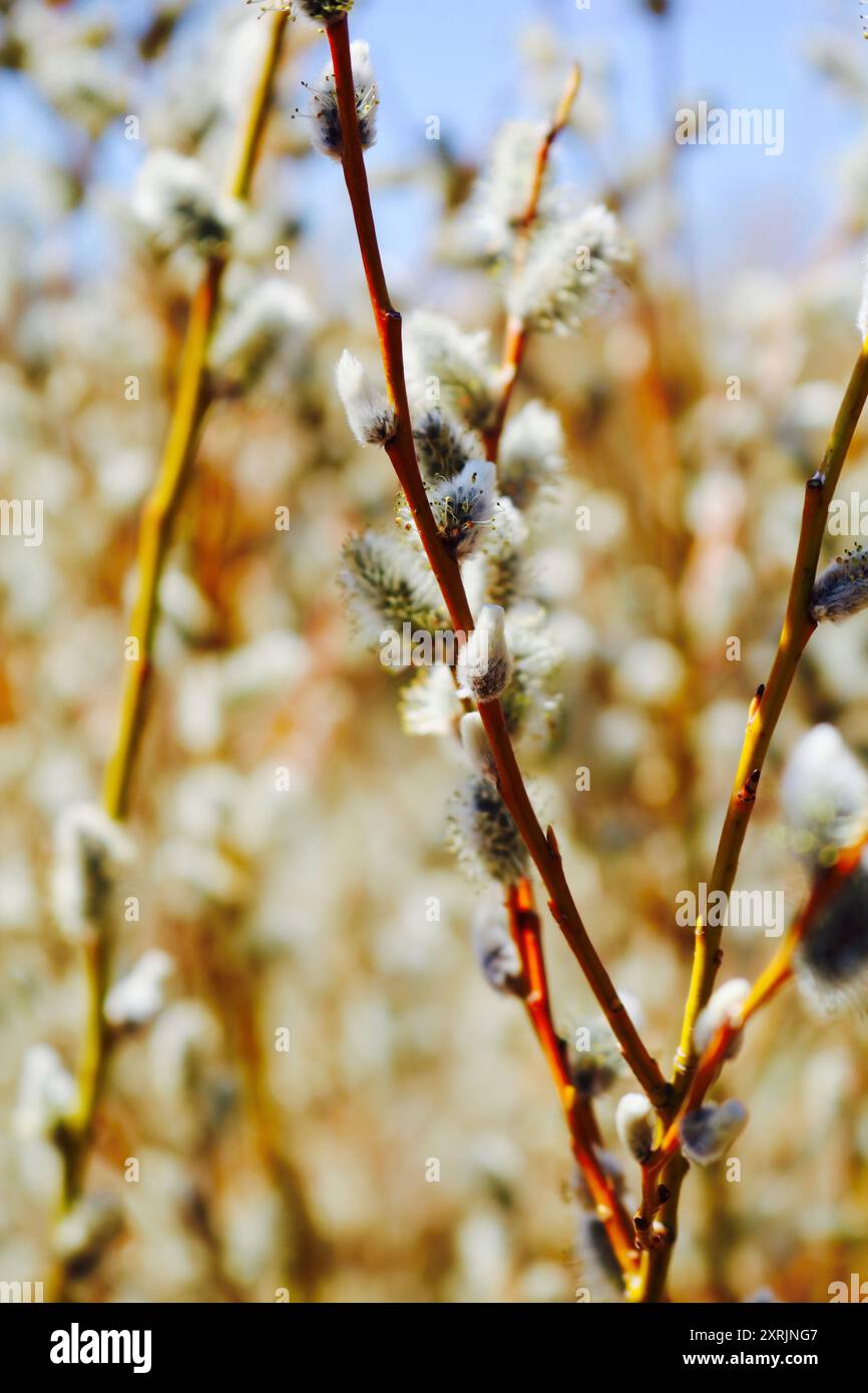 Field in Utah Stock Photo - Alamy