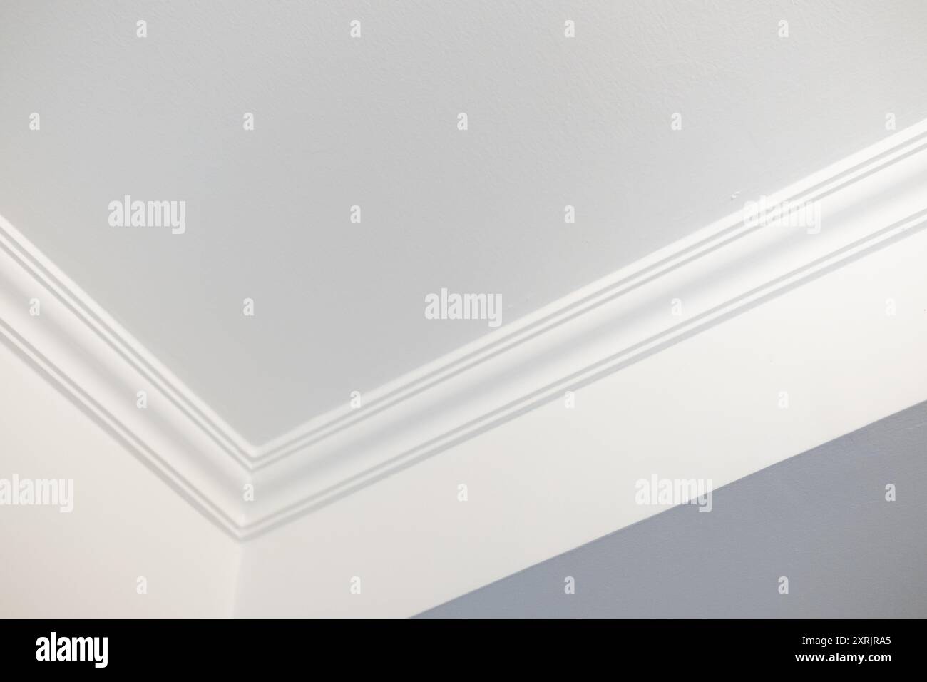 Cornice Designs Ceiling