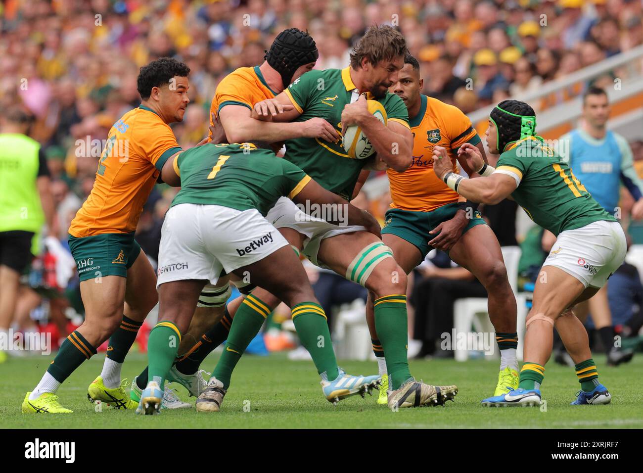 Ox nche springboks hi-res stock photography and images - Alamy