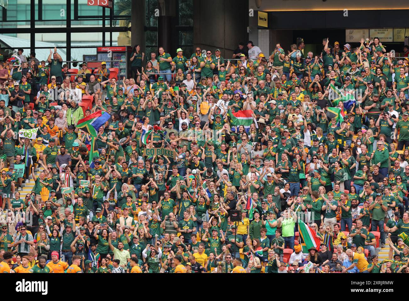Springboks rugby celebrating hi-res stock photography and images - Alamy