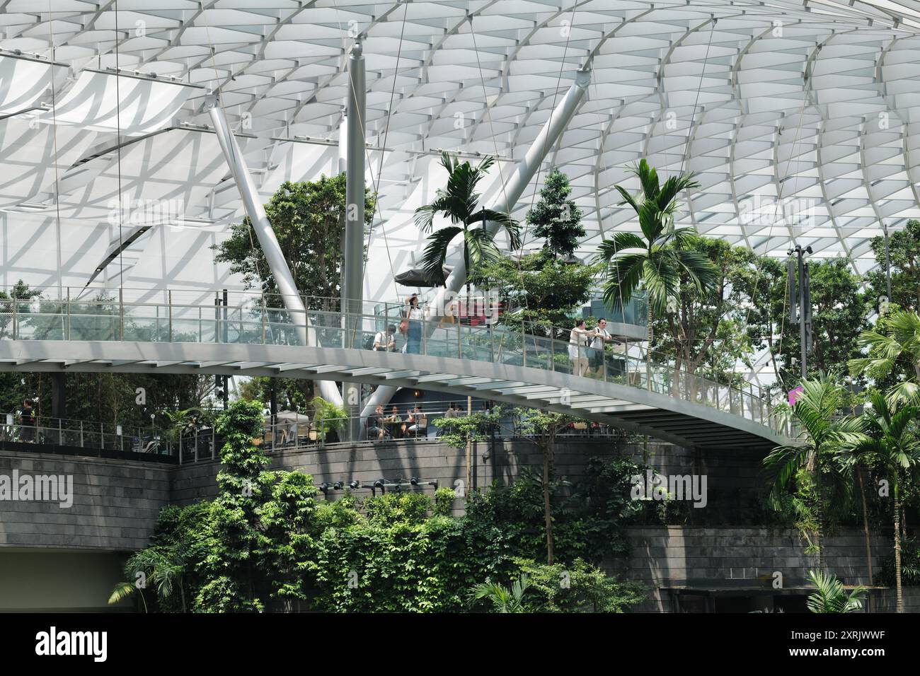 Singapore Changi International Airport’s icon Jewel waterfall and ...