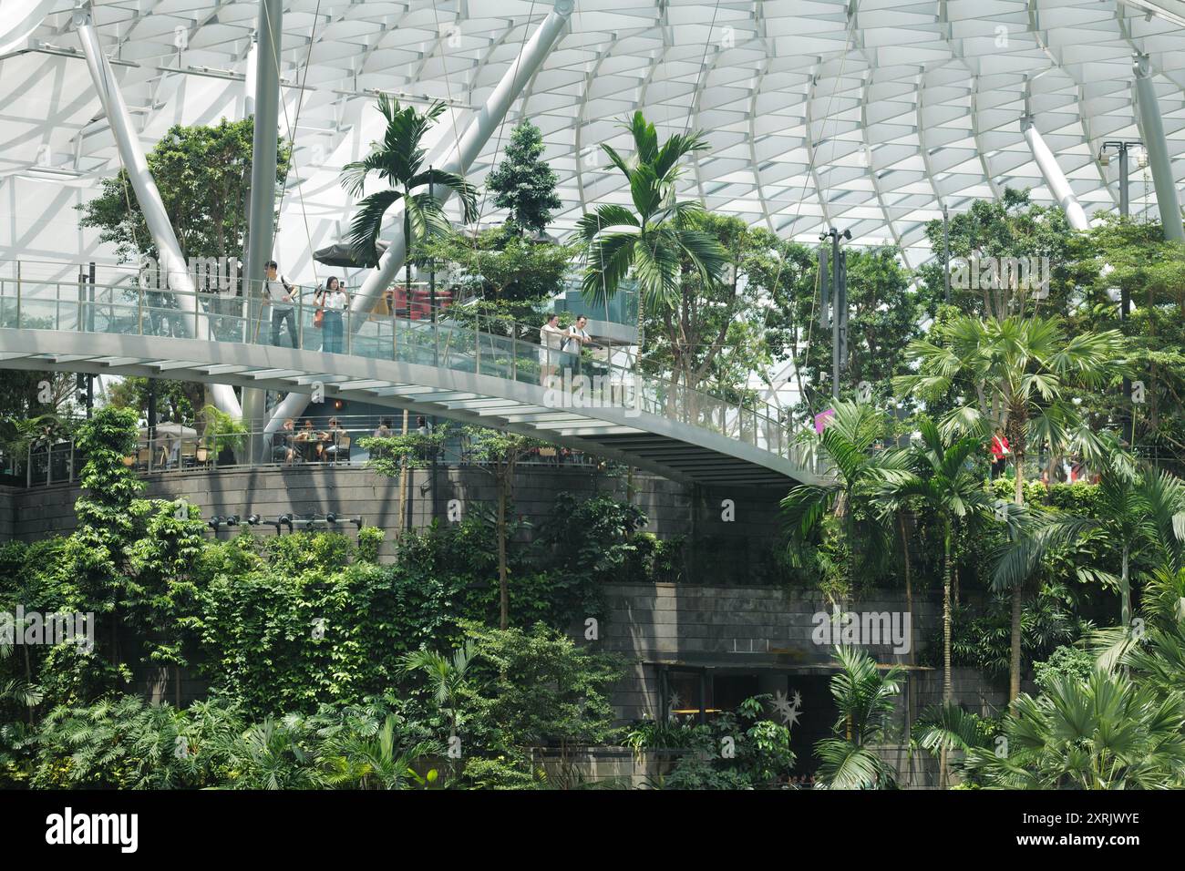 Singapore Changi International Airport’s icon Jewel waterfall and ...