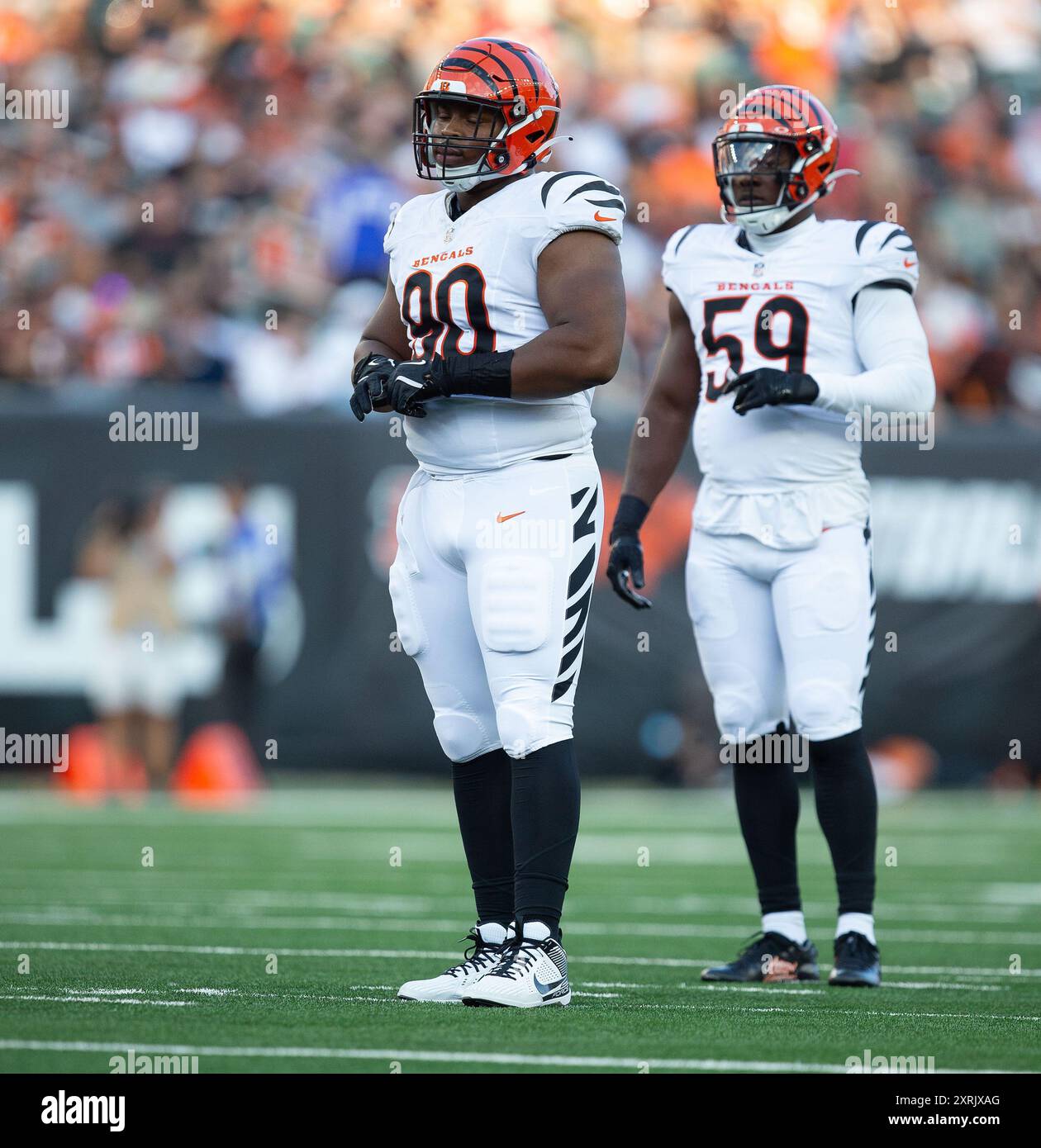 2024 0961 jpg hi-res stock photography and images - Alamy