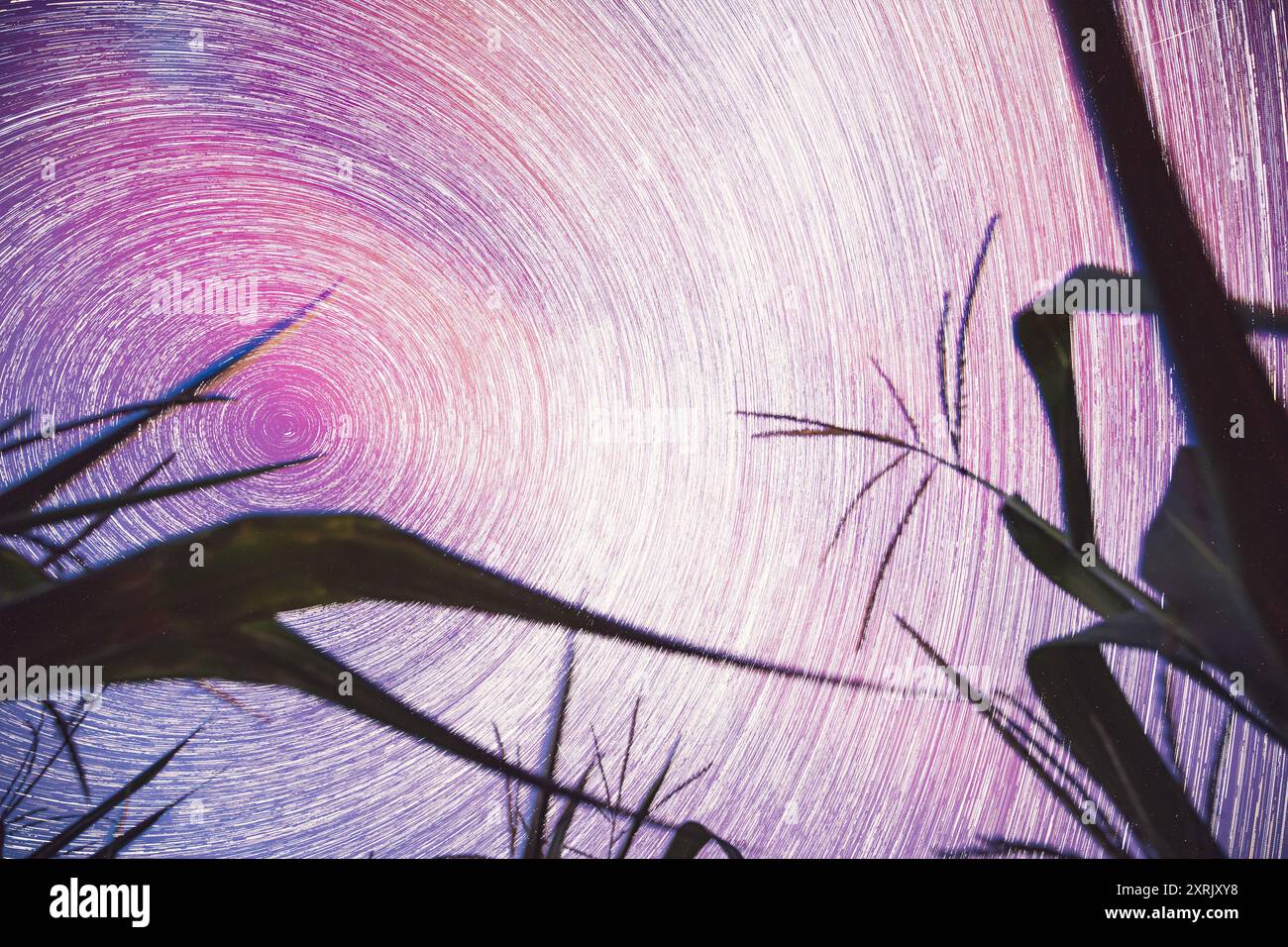 Spin Of Stars In Sky. Bright Blue-purple Night Starry Sky Glowing Stars ...