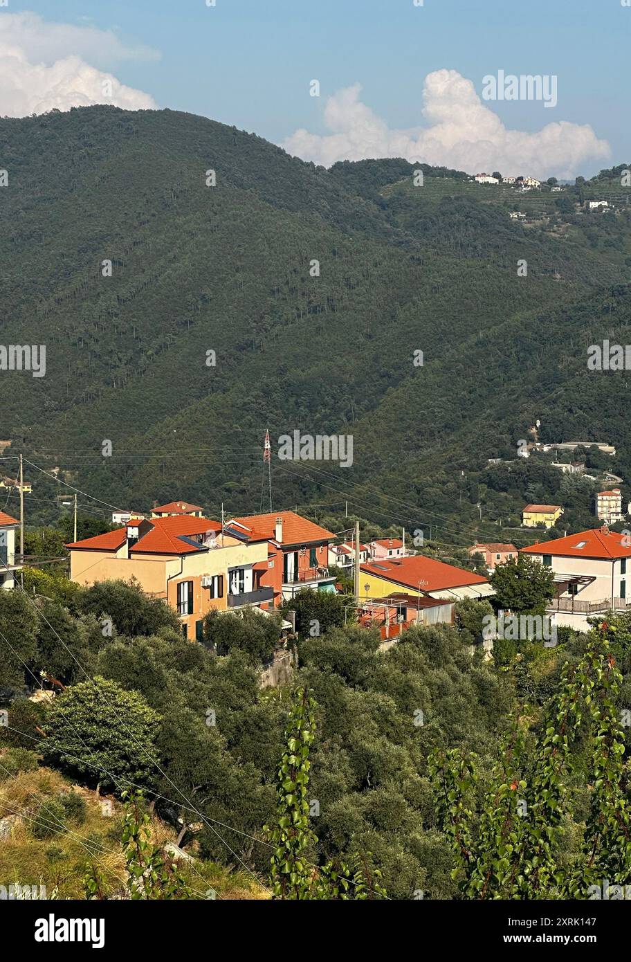 Mountain houses among trees of Ligurian coast of Italy. Olive ...