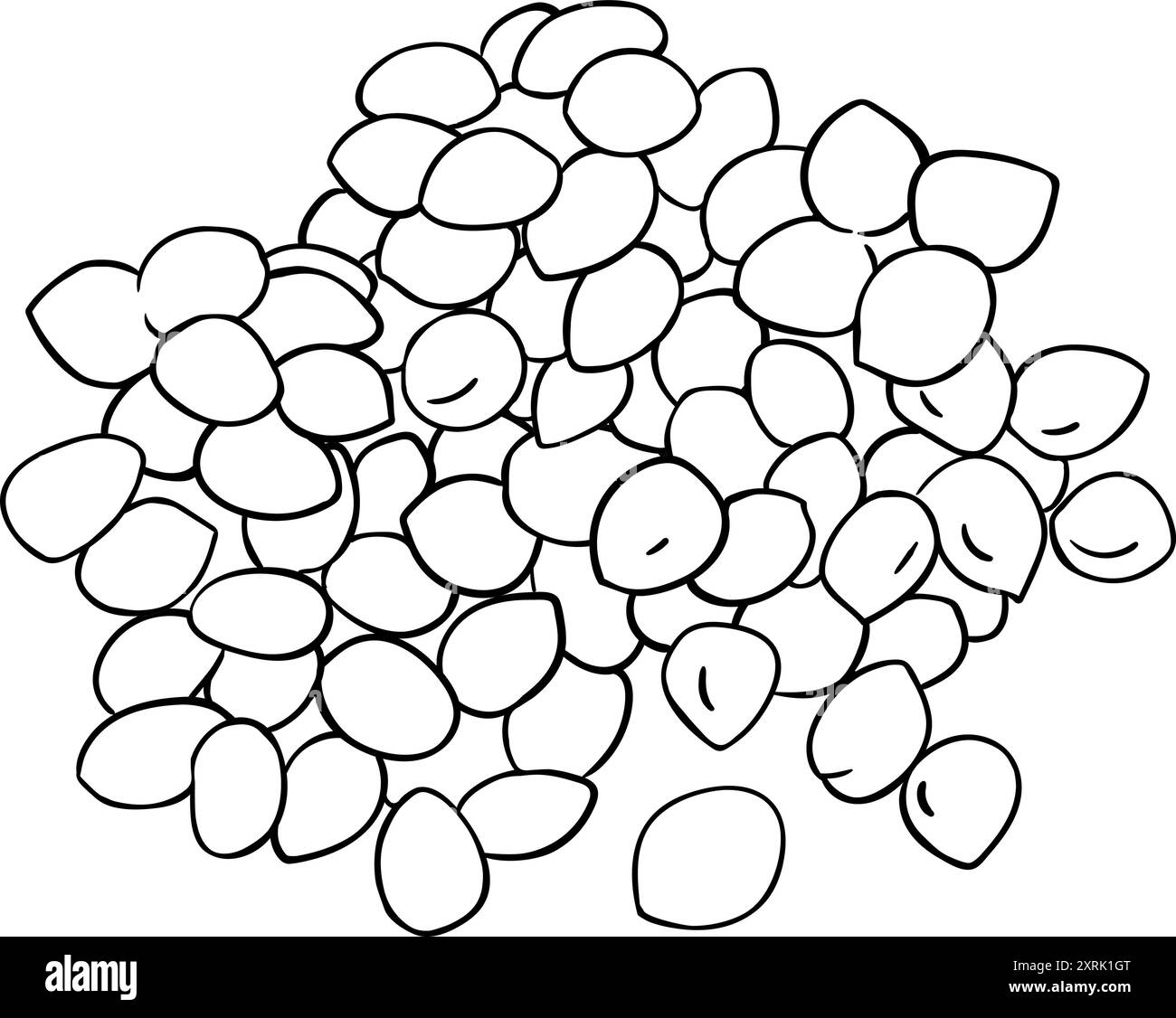 Amaranth Seeds Isolated Outline Illustration Stock Vector Image & Art ...