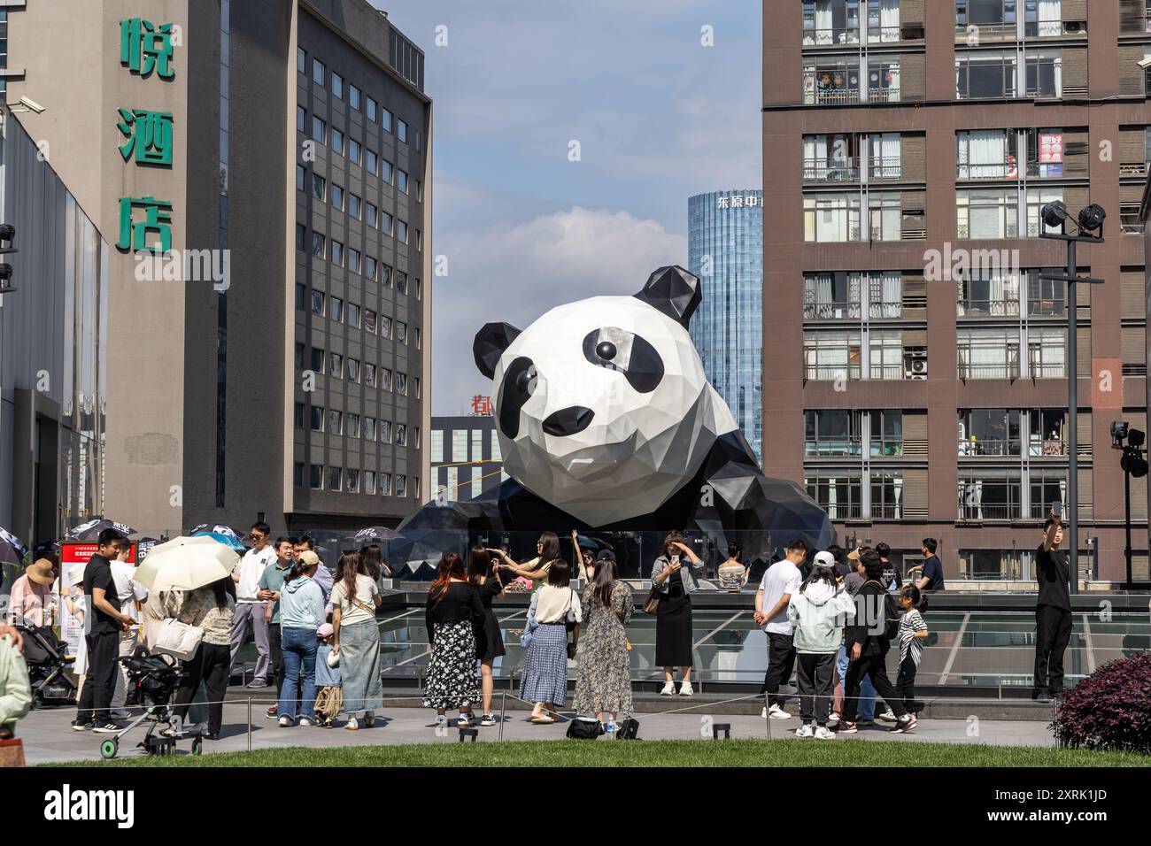Front view and face of Giant Panda clinging onto the IFS Mall building ...