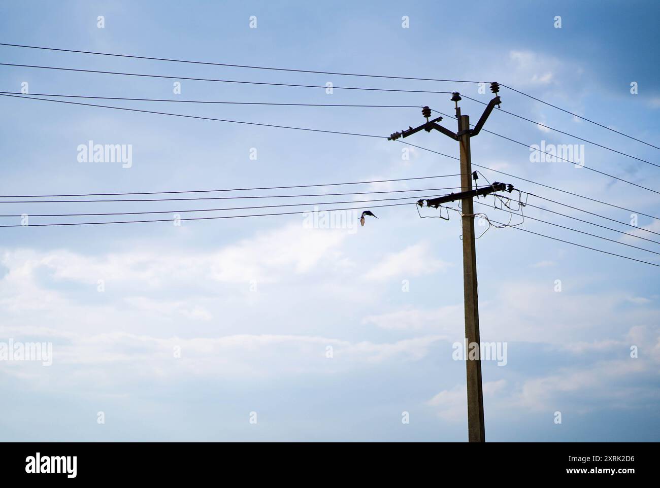 Electric post wire hi-res stock photography and images - Alamy