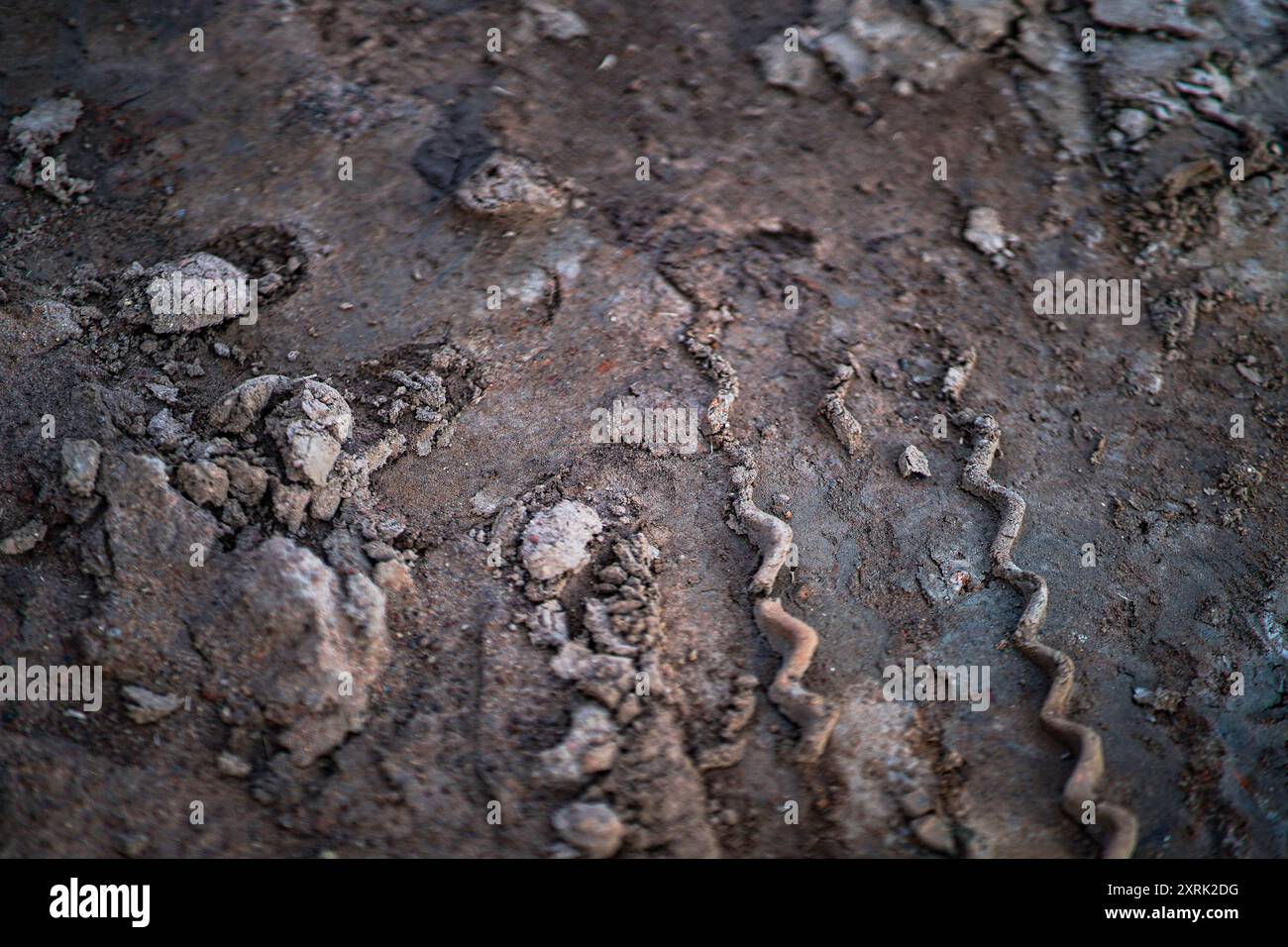 Trye hi-res stock photography and images - Alamy