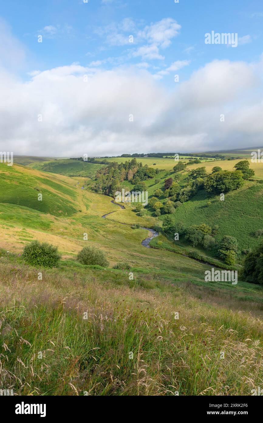 The infant River Barle near Simonsbath, Exmoor National Park Stock ...