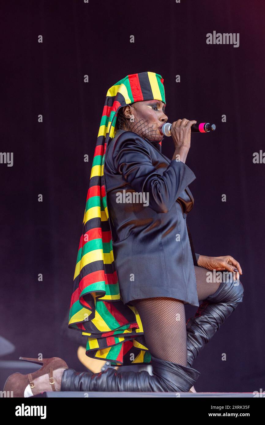 Grace Jones during the Outside Lands Music Festival on August 10, 2024 ...