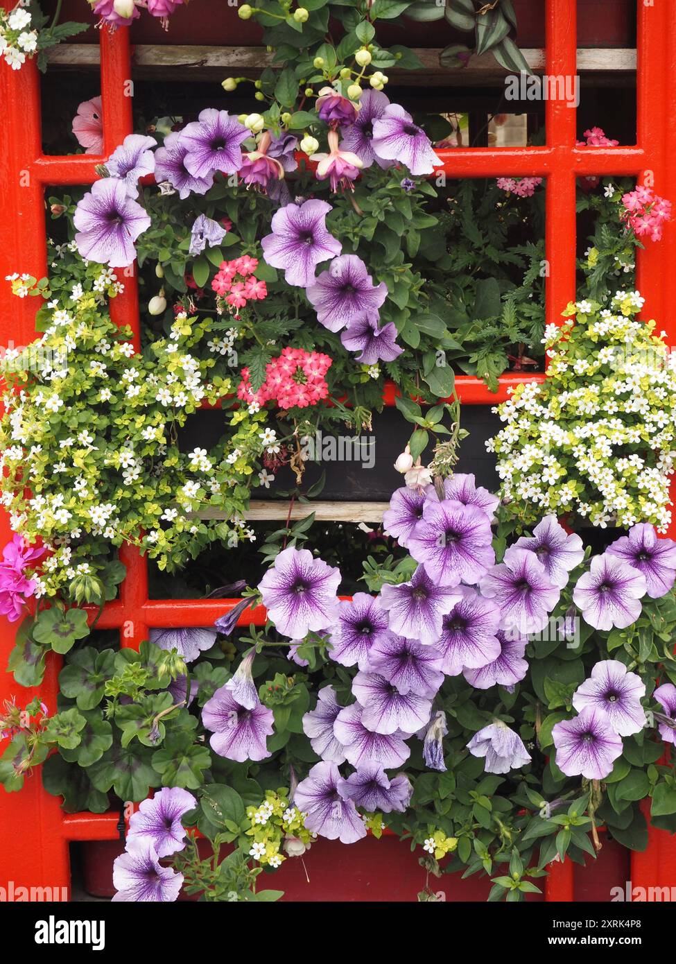 Re-purposed telephone kiosk with display of Summer flowers, Bath, Somerset. Themes: reuse ...