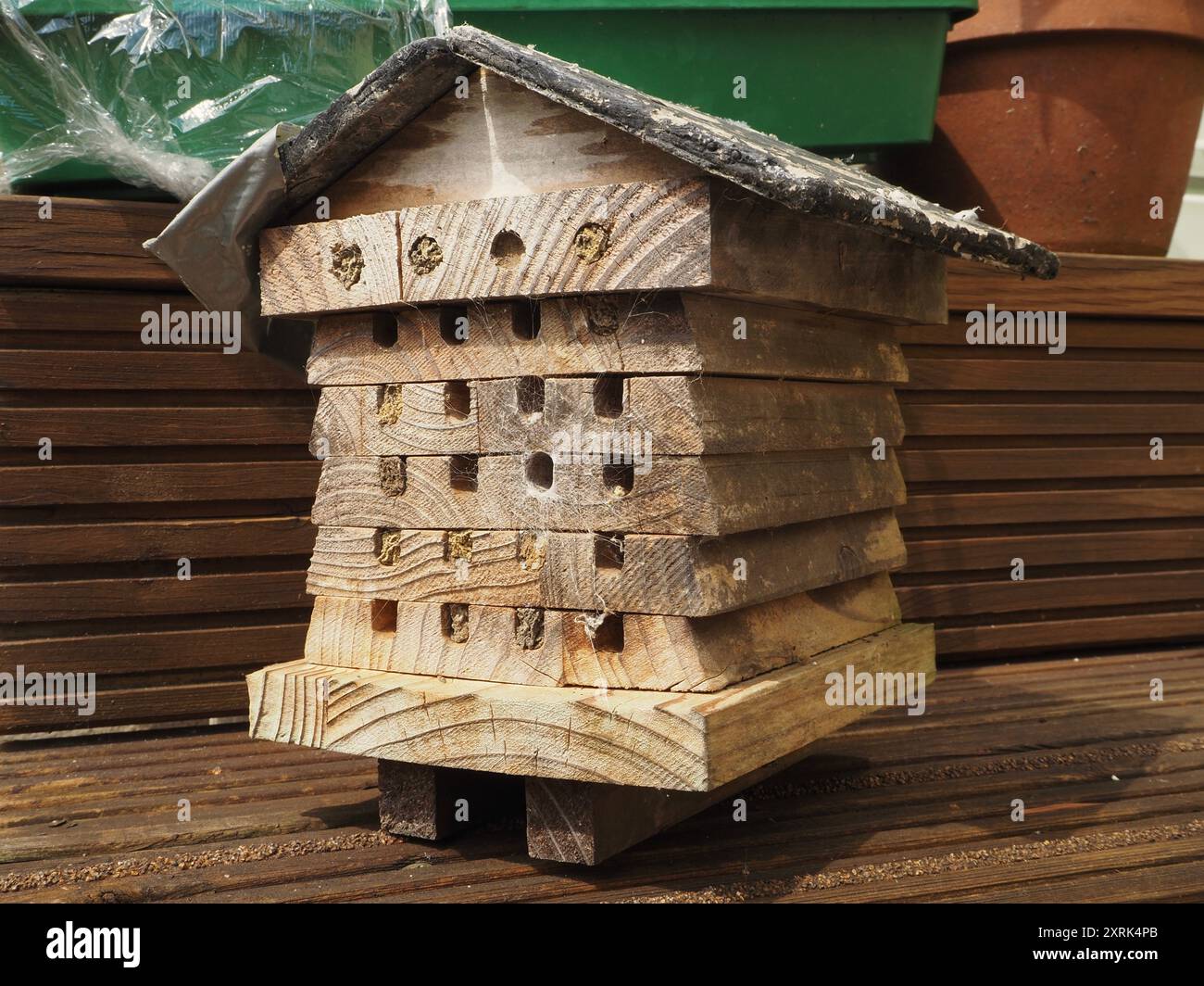 Solitary bee or mason bee house in a British garden, showing openings ...