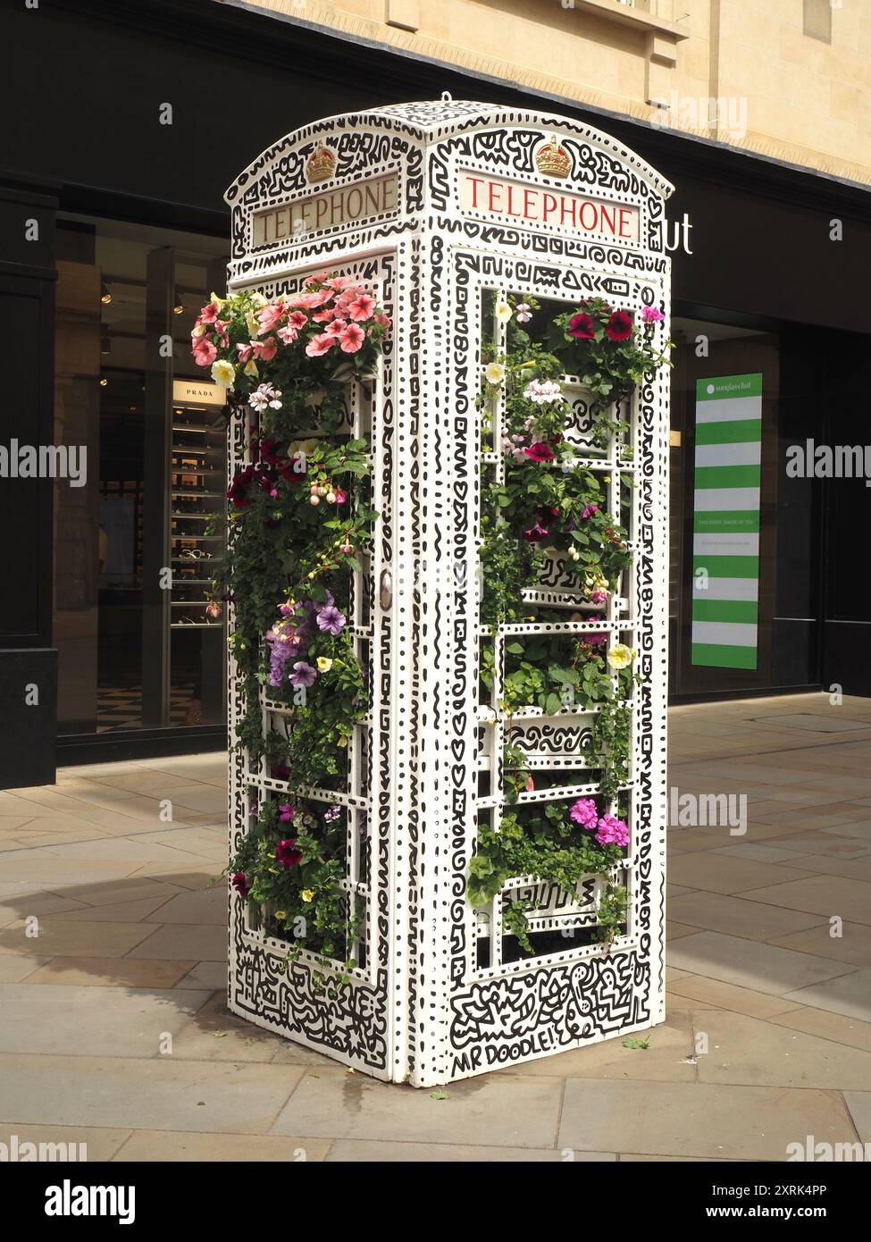 Repurposed telephone kiosk with display of flowers, Bath, Somerset. The ...