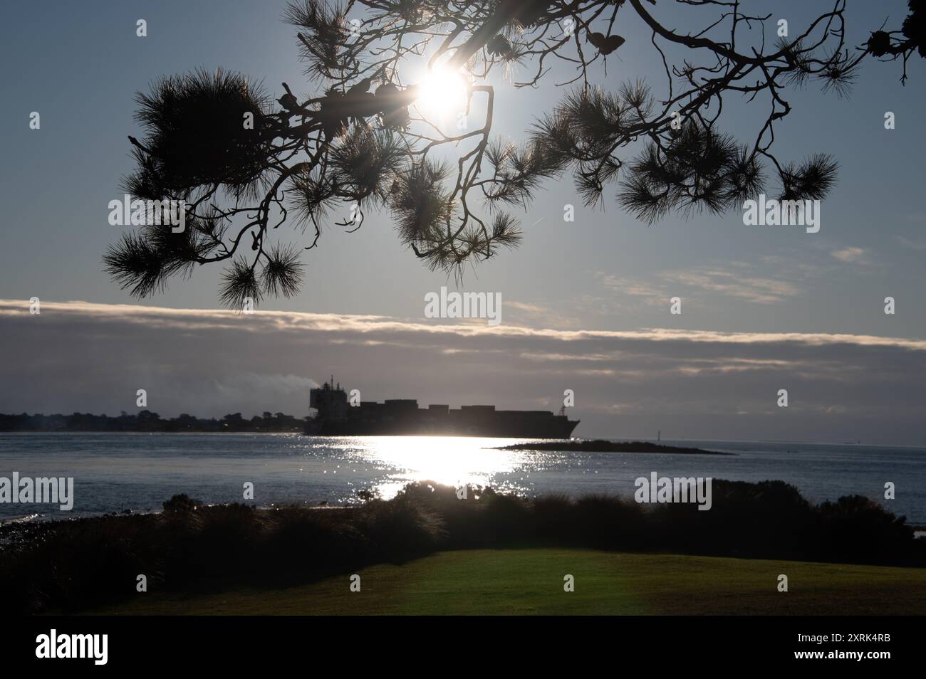 An ocean-going cargo ship on the wide estuary of the Kanamaluka / River ...