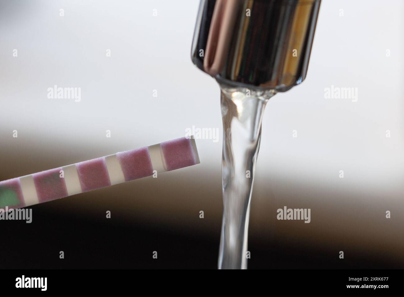 water hardness test strip indicating very hard water by turning purple ...