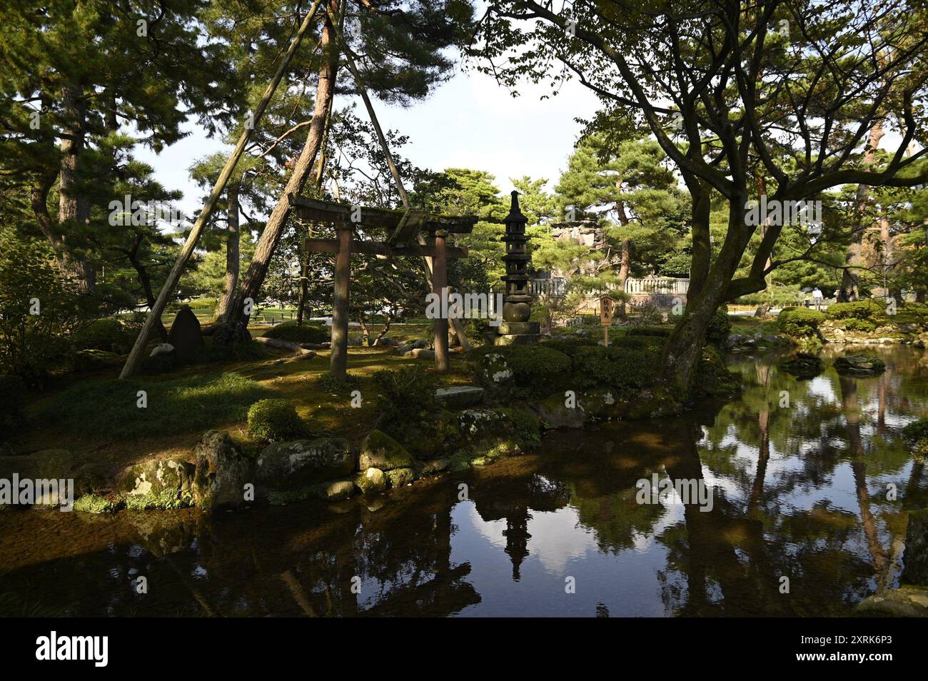 Scenic view of Karasaki pine trees with Yukitsuri technique of erect ...